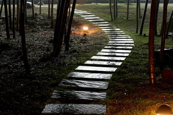 Tranquil Stone Road in Garden Stock Photo - Image of lamp, night: 1731324