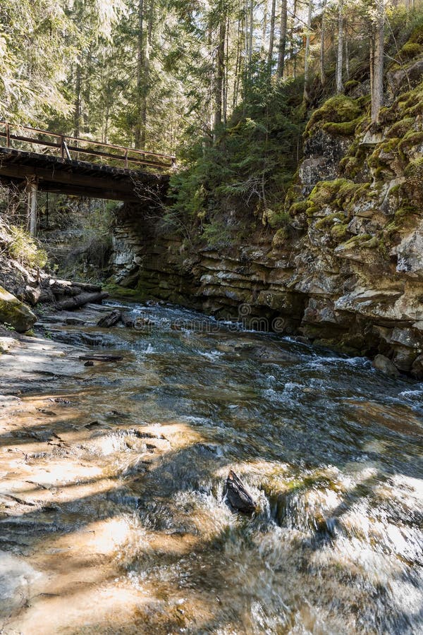Tranquil Stream Flowing Beneath a Rustic Bridge Surrounded by Lush ...