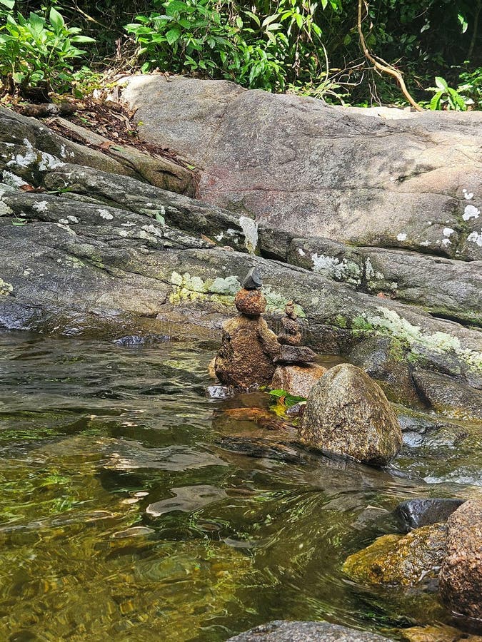 A Beautiful Image Capturing a Tranquil Stream Surrounded by Dense ...