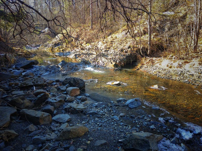 Morning in the Wilderness. Stream Landscape. Background Nature. Ukrina ...