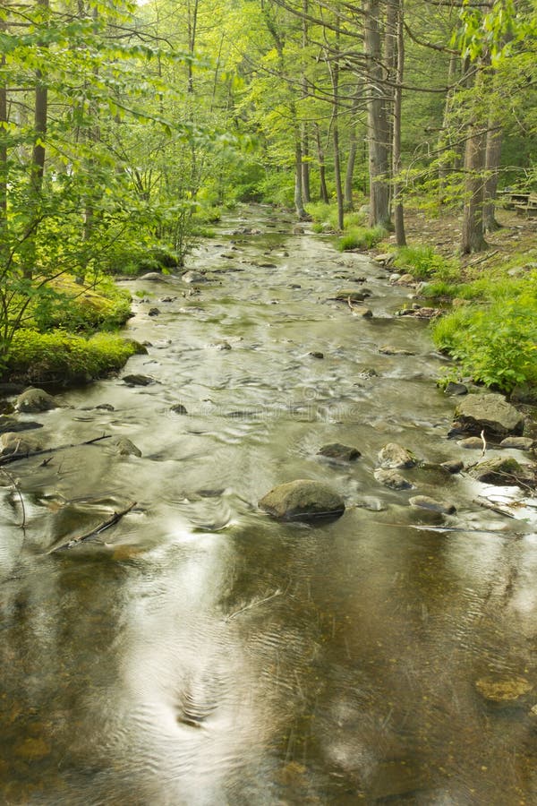 Tranquil Summer Stream stock image. Image of adventure - 55905719