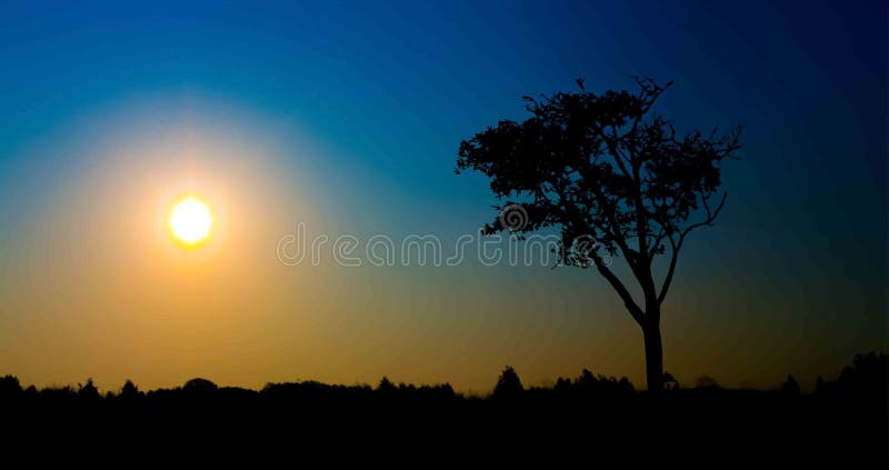 A Tranquil Sunset Landscape with Tree Silhouettes and Evening Sky Stock ...