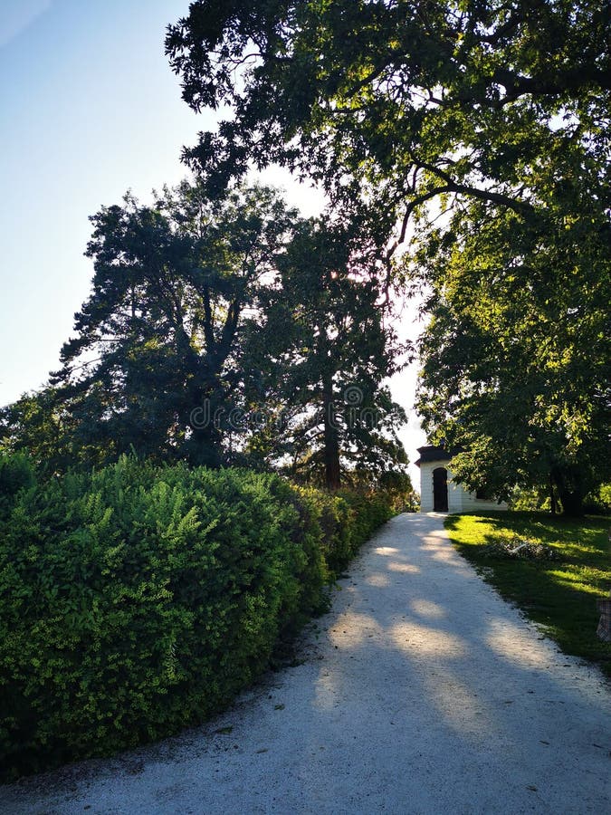 A Tranquil Tree-lined Path Leads To a Small White Building Under the ...