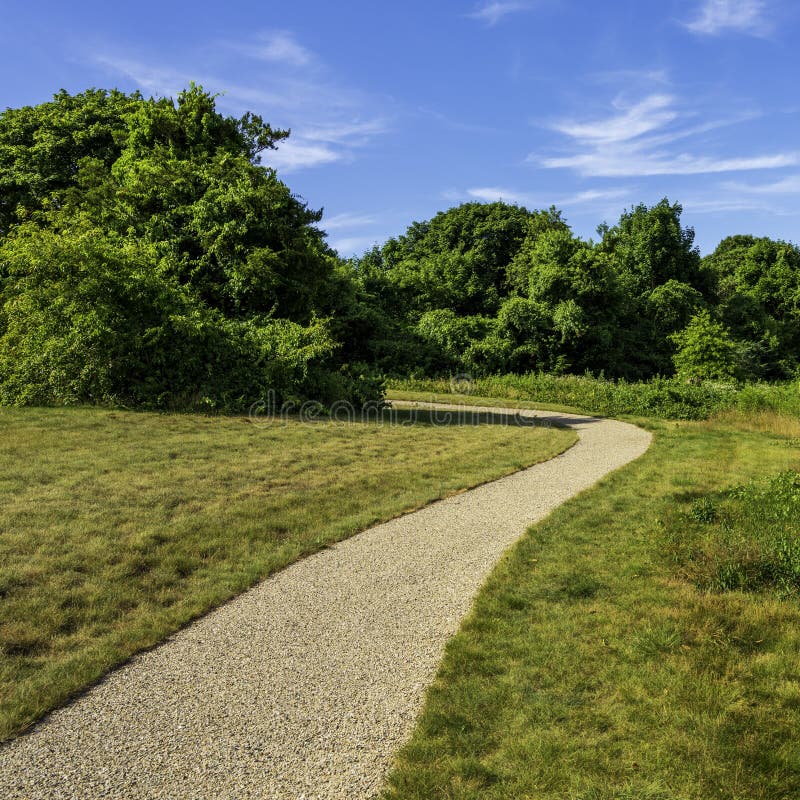 Tranquil Walking Path on the Meadow Curved into the Forest Stock Image ...