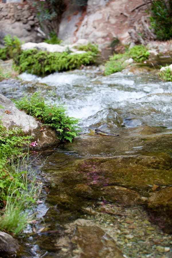 Tranquil Water Falls with Big Rocks on Side Stock Image - Image of ...