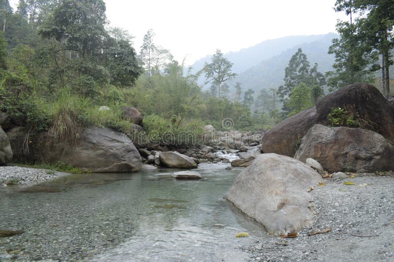 Jalong Stock Photos - Free & Royalty-Free Stock Photos from Dreamstime