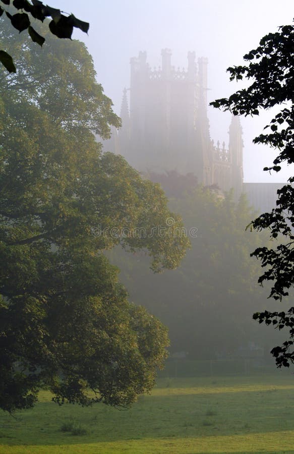 Tranquility stock photo. Image of early, morning, quiet - 120344