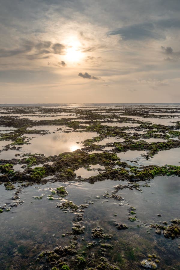 Tranquility on the Edge of the Reef Stock Image - Image of light ...