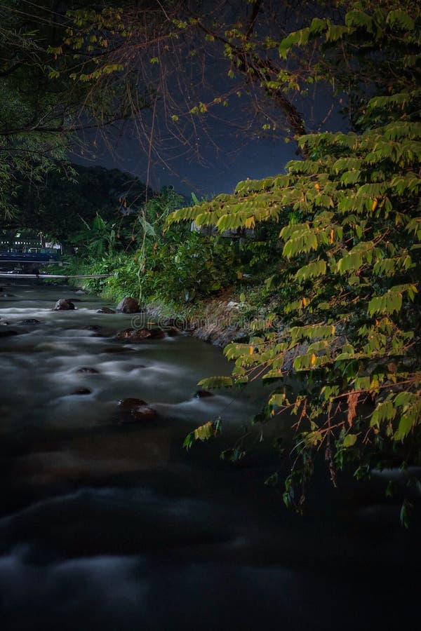 Tranquility in Nature: the Beauty of a River in the Middle of Trees ...