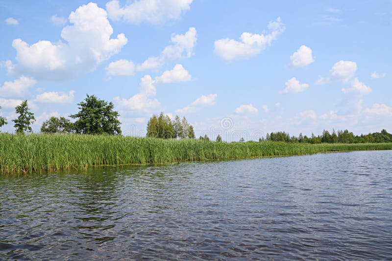 Tranquility scene stock photo. Image of mere, herb, mirage - 28188036