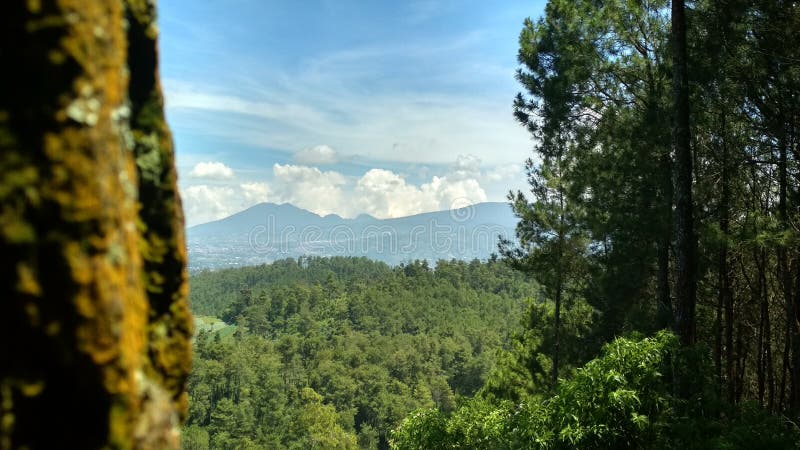 Tranquility Scenes of the Day Stock Image - Image of mountain, forest ...