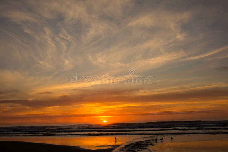 Tranquill Sunset at Neptune Beach. Stock Image - Image of birds ...