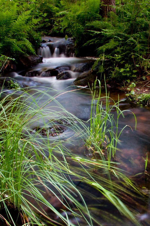 Tranquillity stock image. Image of river, herbage, tranquillity - 12036451