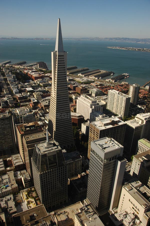 Trans America building stock photo. Image of skyscraper - 11504536