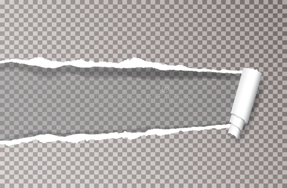 Trans ripped paper wide stock vector. Illustration of paper - 106944552