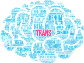 Trans Word Cloud stock vector. Illustration of genderfluid - 136504136
