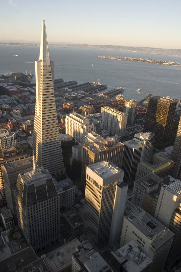 Transamerica Building editorial stock image. Image of structure - 21636454