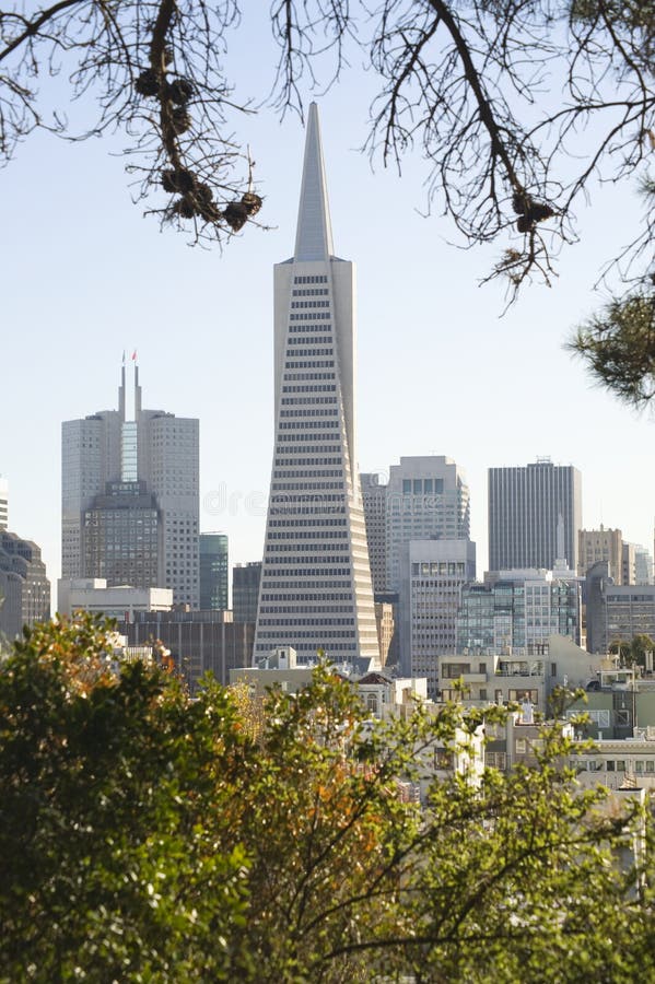 492 Famous Transamerica Pyramid Building Stock Photos - Free & Royalty ...