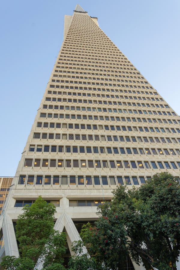 Transamerica pyramid editorial image. Image of angle - 81140780
