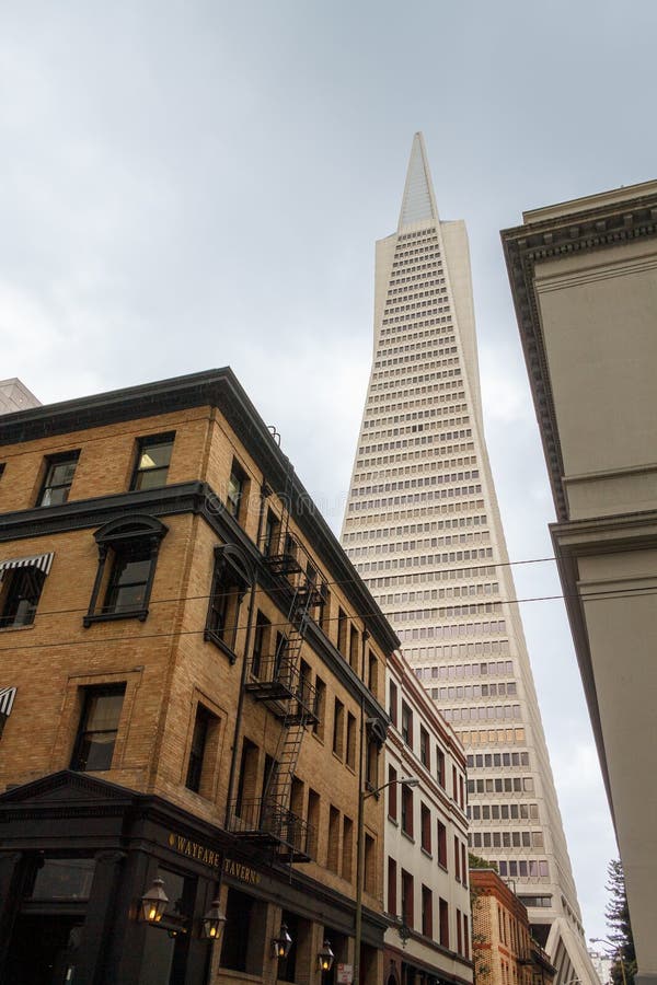 Transamerica Pyramid Skycraper Downtown San Francisco Editorial Stock ...