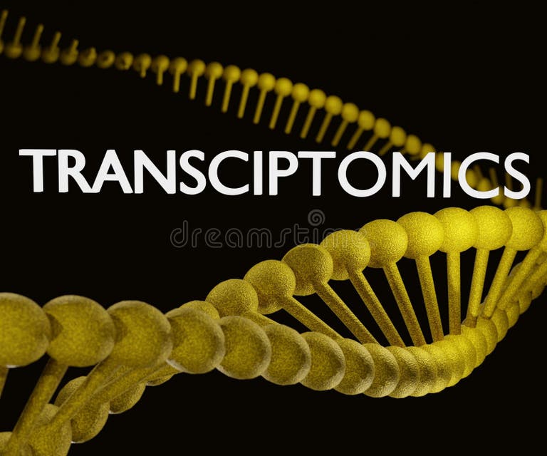 Transcriptomics Stock Illustrations – 215 Transcriptomics Stock ...