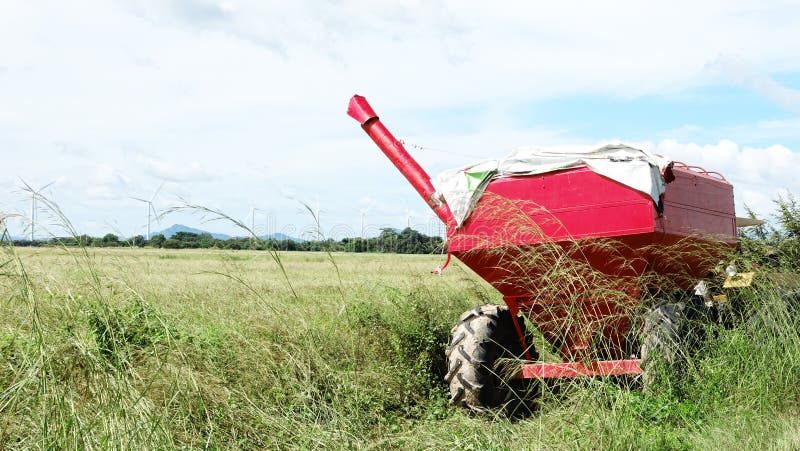 Transfer Bin of a Combine Machine Stock Photo - Image of farmer, food ...
