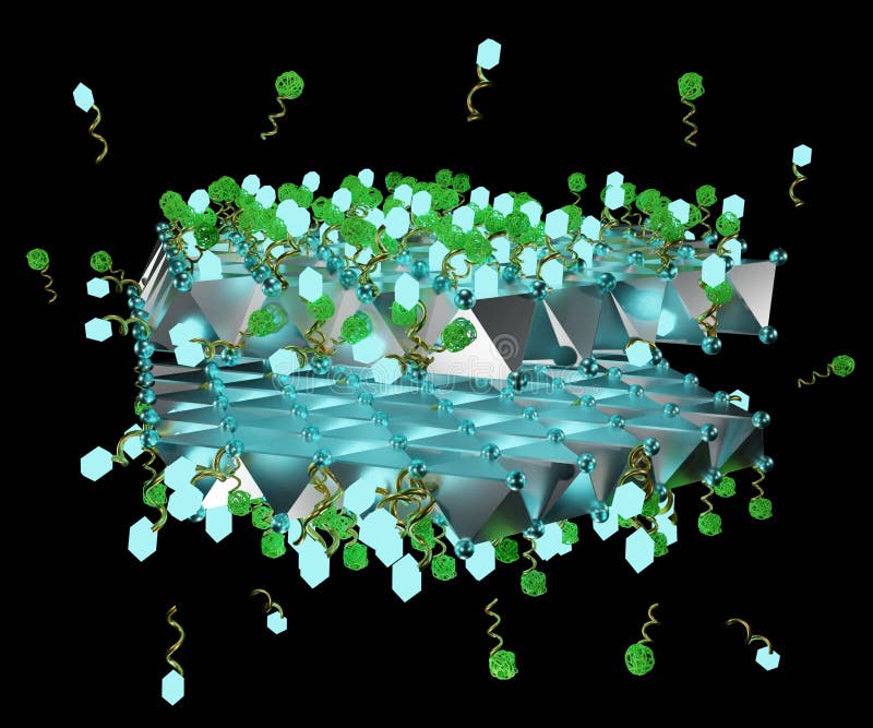 Transferosomes Structure are Vesicular Carrier Systems that Enclosed by ...