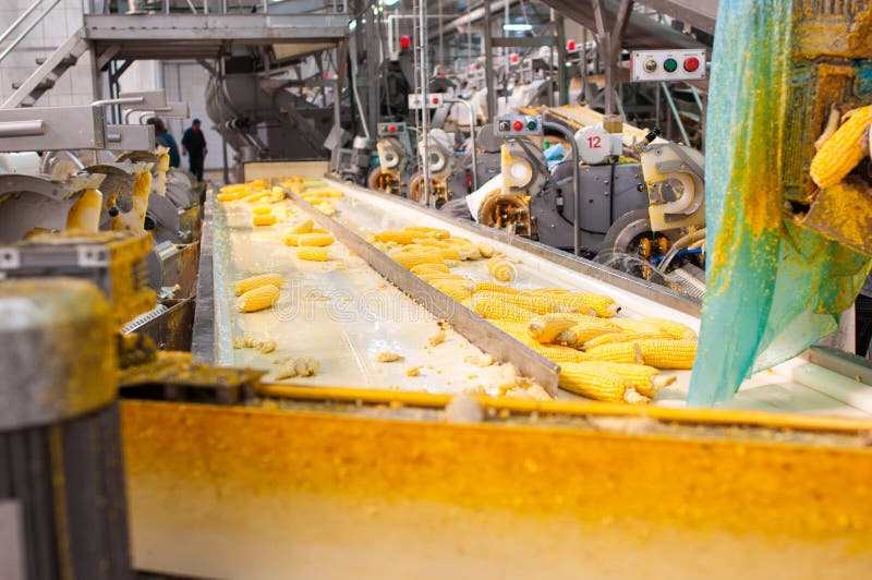 Transformación De Los Alimentos Imagen de archivo - Imagen de equipo ...