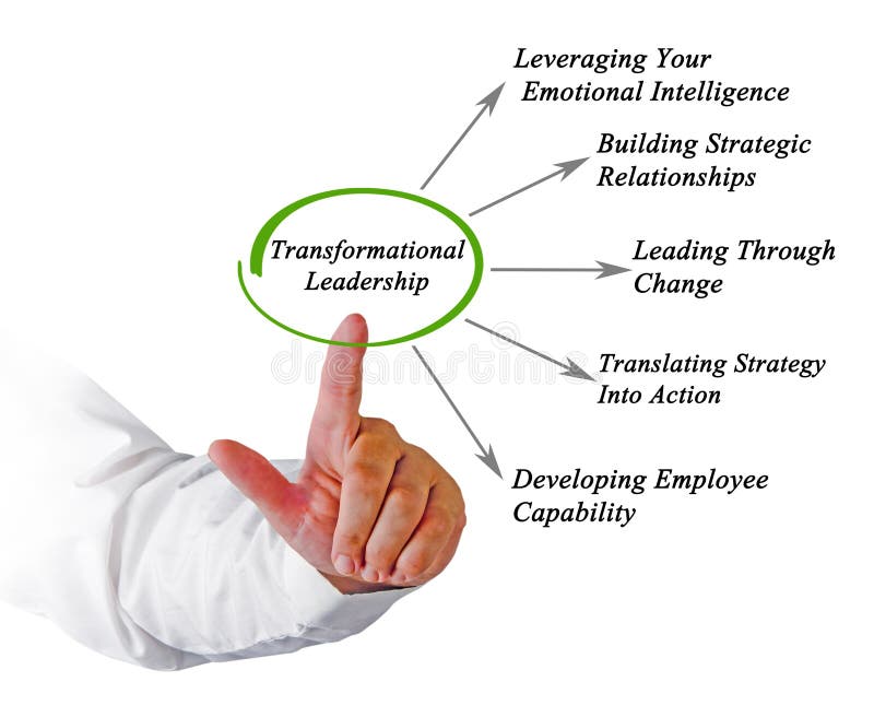 Leadership styles stock illustration. Illustration of experience - 47991038