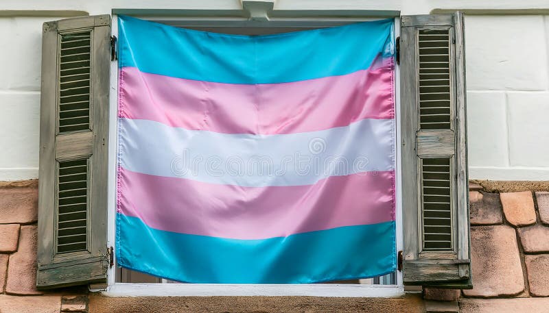 Transgender Pride Flag Displayed on a Window Stock Image - Image of ...