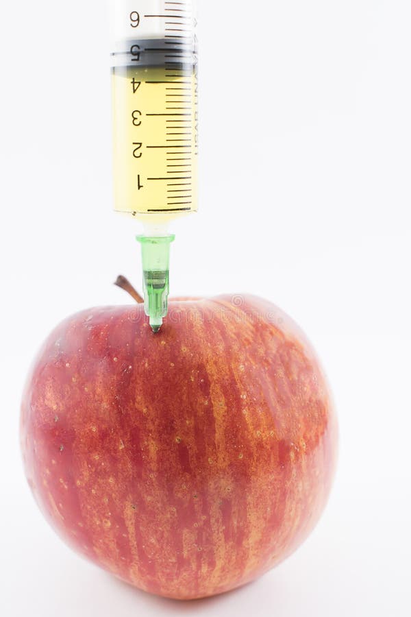 Transgenic apple. stock photo. Image of eating, biology - 92763786
