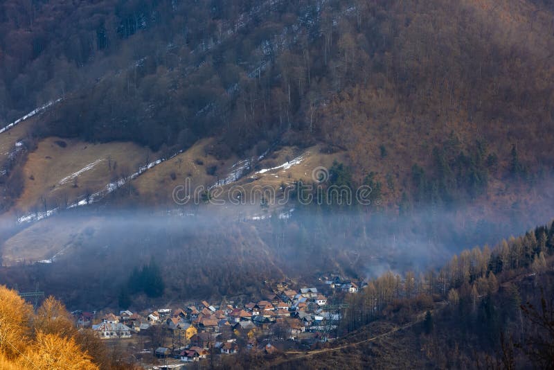 Transition Period between Autumn Winter Stock Photo - Image of forest ...