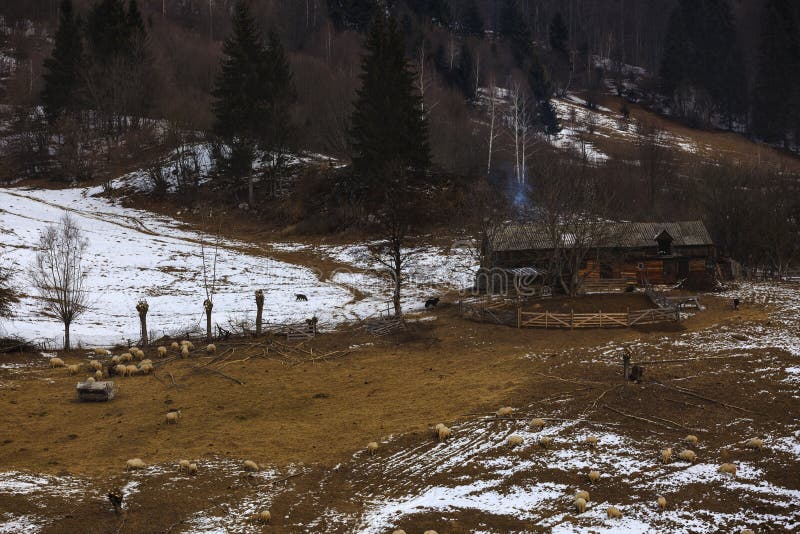 Transition Period between Autumn Winter Stock Photo - Image of colorful ...