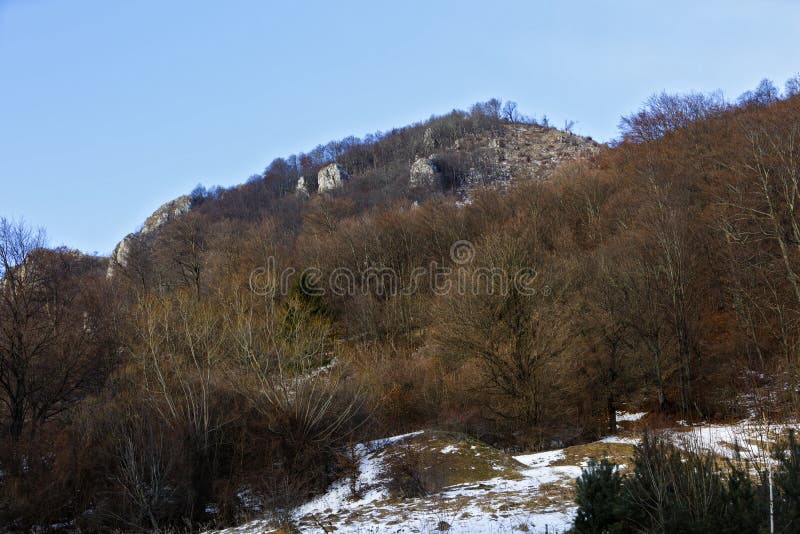 Transition Period between Autumn Winter Stock Photo - Image of beauty ...