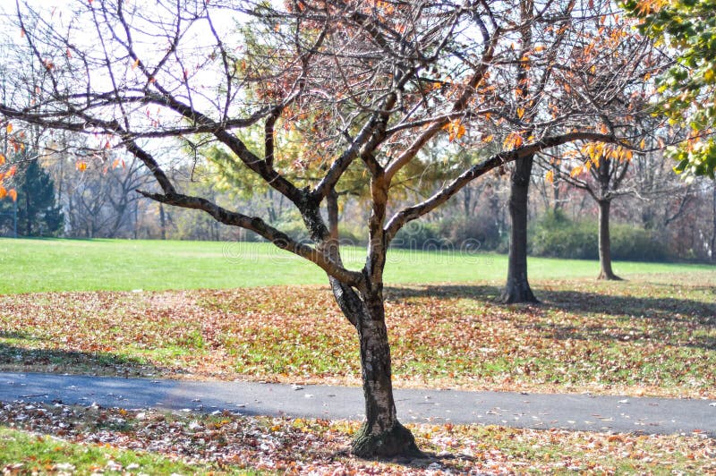 Transition stock image. Image of decorations, decor - 100420549