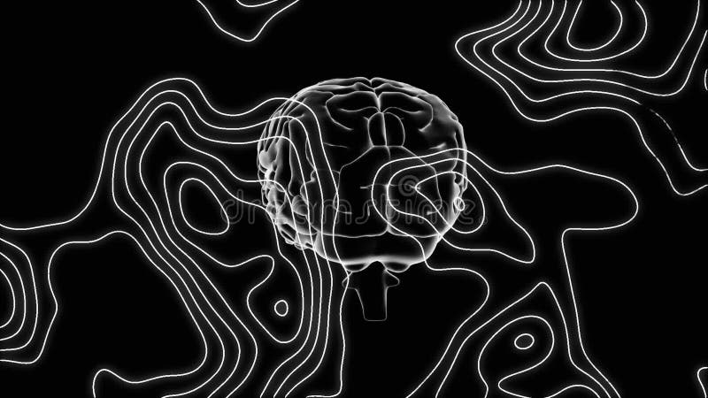 Translucent Brain Model Glowing in Digital Void, Weaving Undulating ...