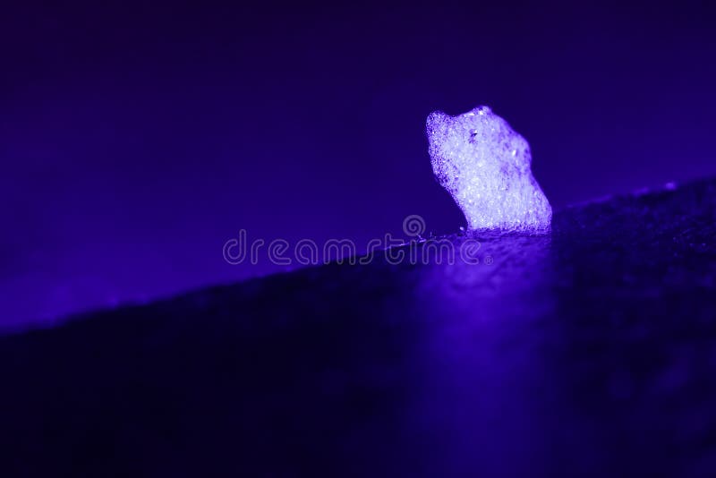 Translucent Bubble Under Purple Light Stock Photo - Image of nature ...