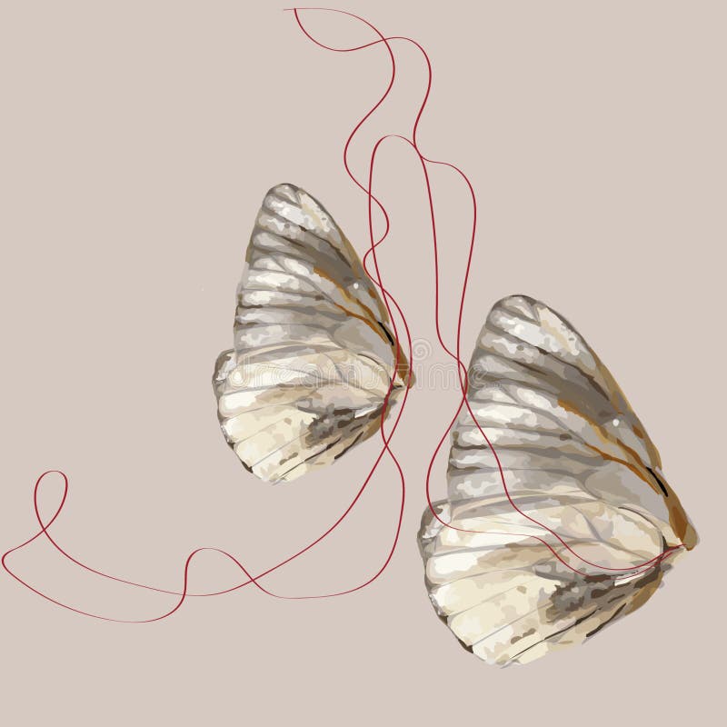 Translucent Beige Stock Illustrations – 662 Translucent Beige Stock ...