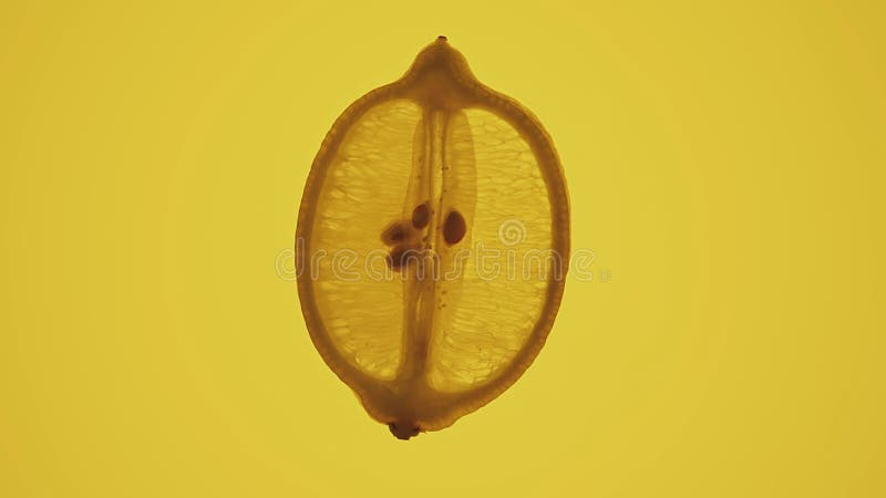 Translucent Citrus Slice on Yellow Background Artwork Stock Image ...