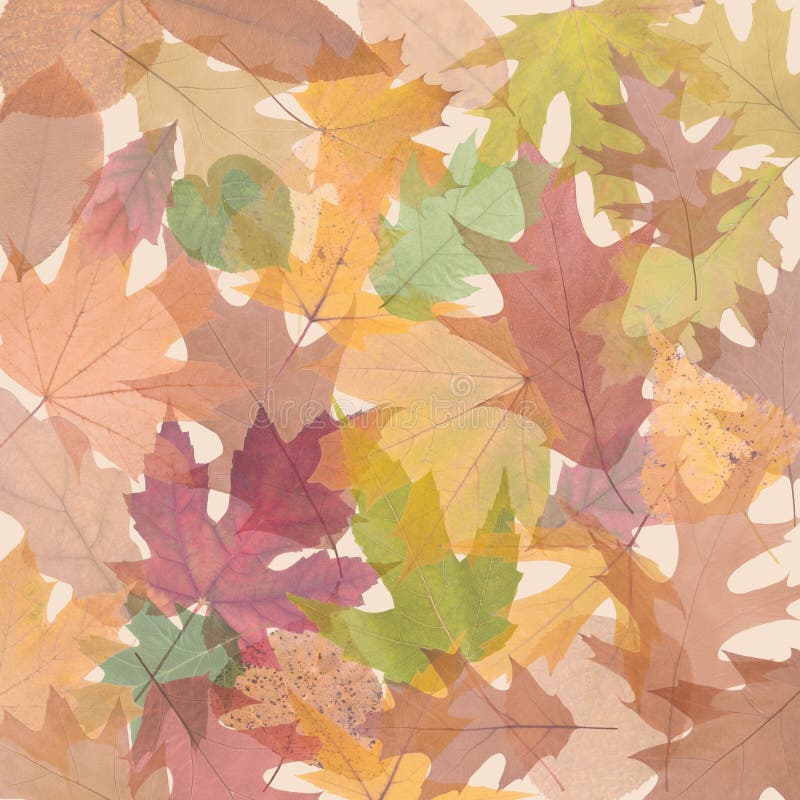 Translucent colored autumn stock photo. Image of ideas - 58723700