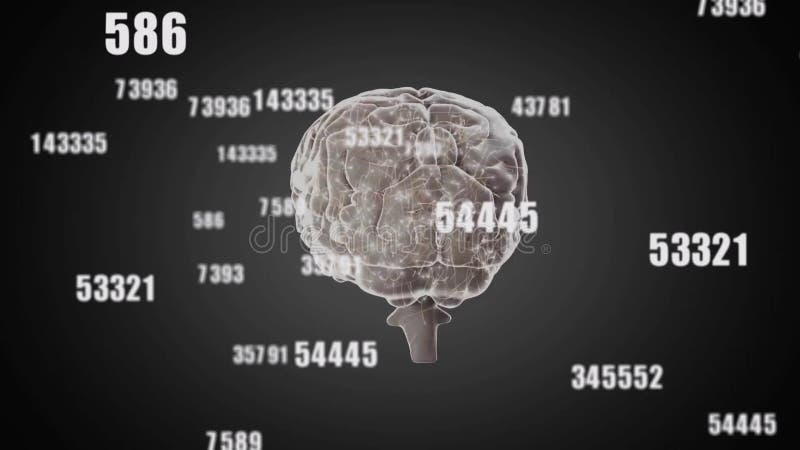 Translucent 3d Brain Glowing With Neural Network Overlay Floating Numeric Codes Visualizing