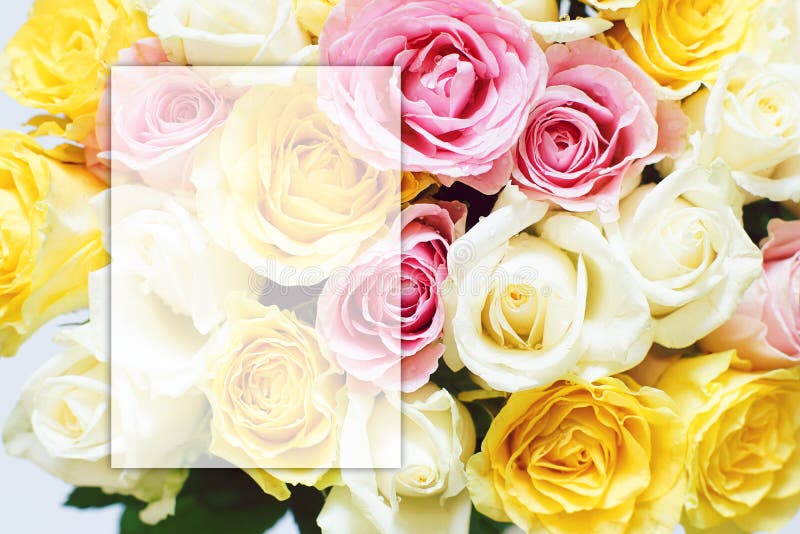 Translucent Frame for Text on a Background with Beautiful Flowers of ...
