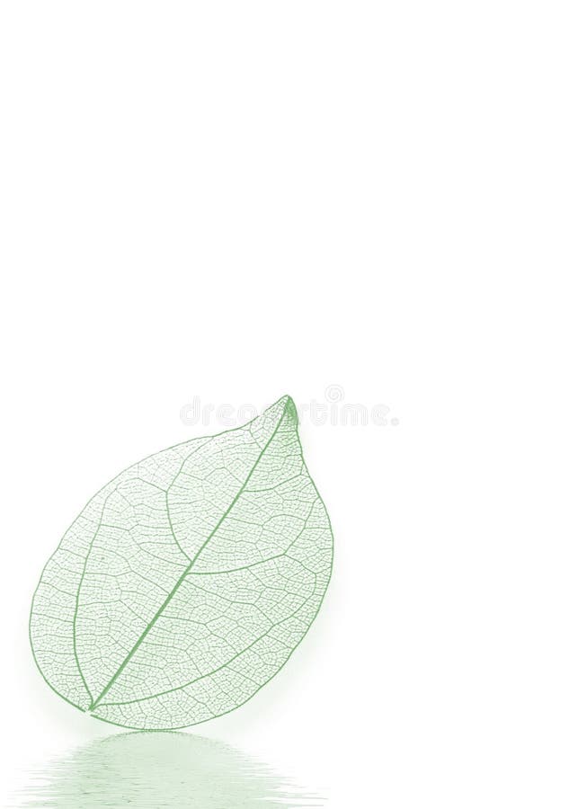 Delicate stock photo. Image of piled, curved, stack, veins - 395598