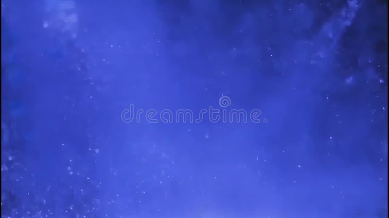 Translucent Realms of Microscopic Life in Ethereal Motion and Rhythm ...