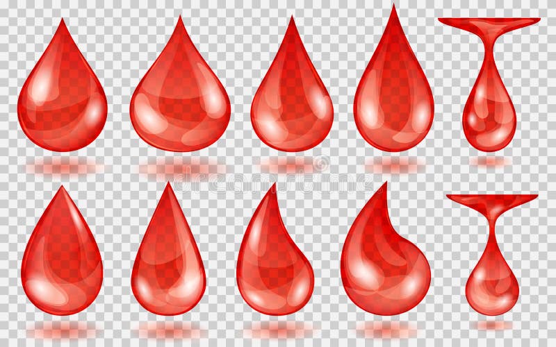 Translucent Red Water Drops Stock Vector - Illustration of natural ...