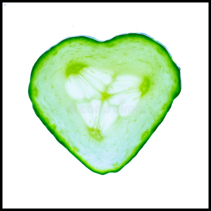 Cucumber slice stock photo. Image of sliced, white, details - 174471952