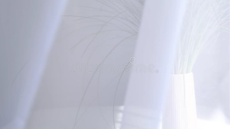 Translucent White Curtains Develop, Defocus Soft Background. Abstract ...
