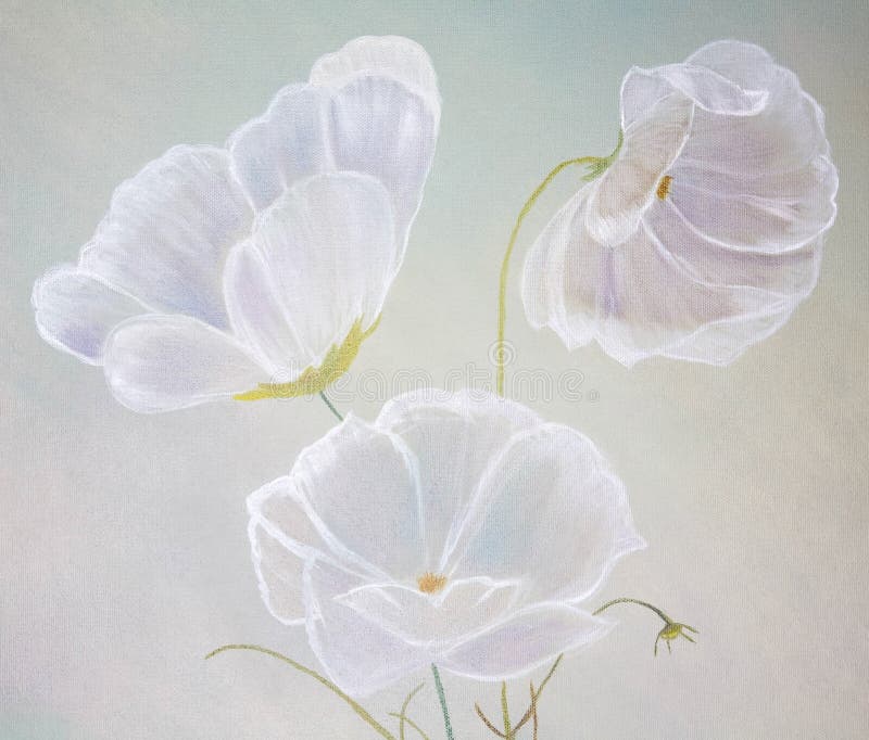 Translucent White Flowers Painted with Oil Paints on Canvas on a Gray ...