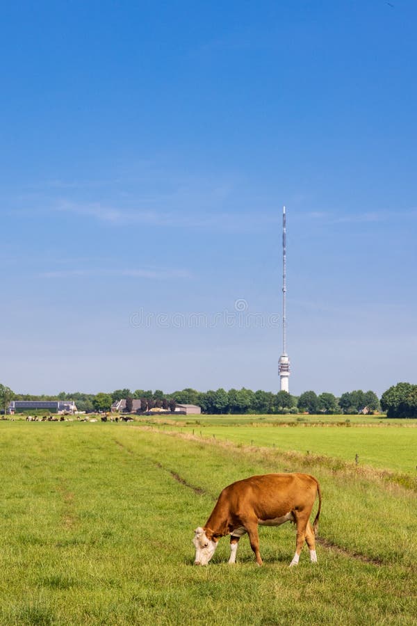 Transmission Tower Smilde the Netherlands Stock Photo - Image of ...