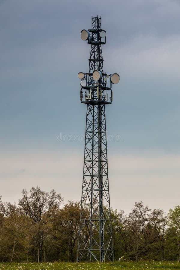 The Mast Trees stock image. Image of four, garden, lofty - 102729783